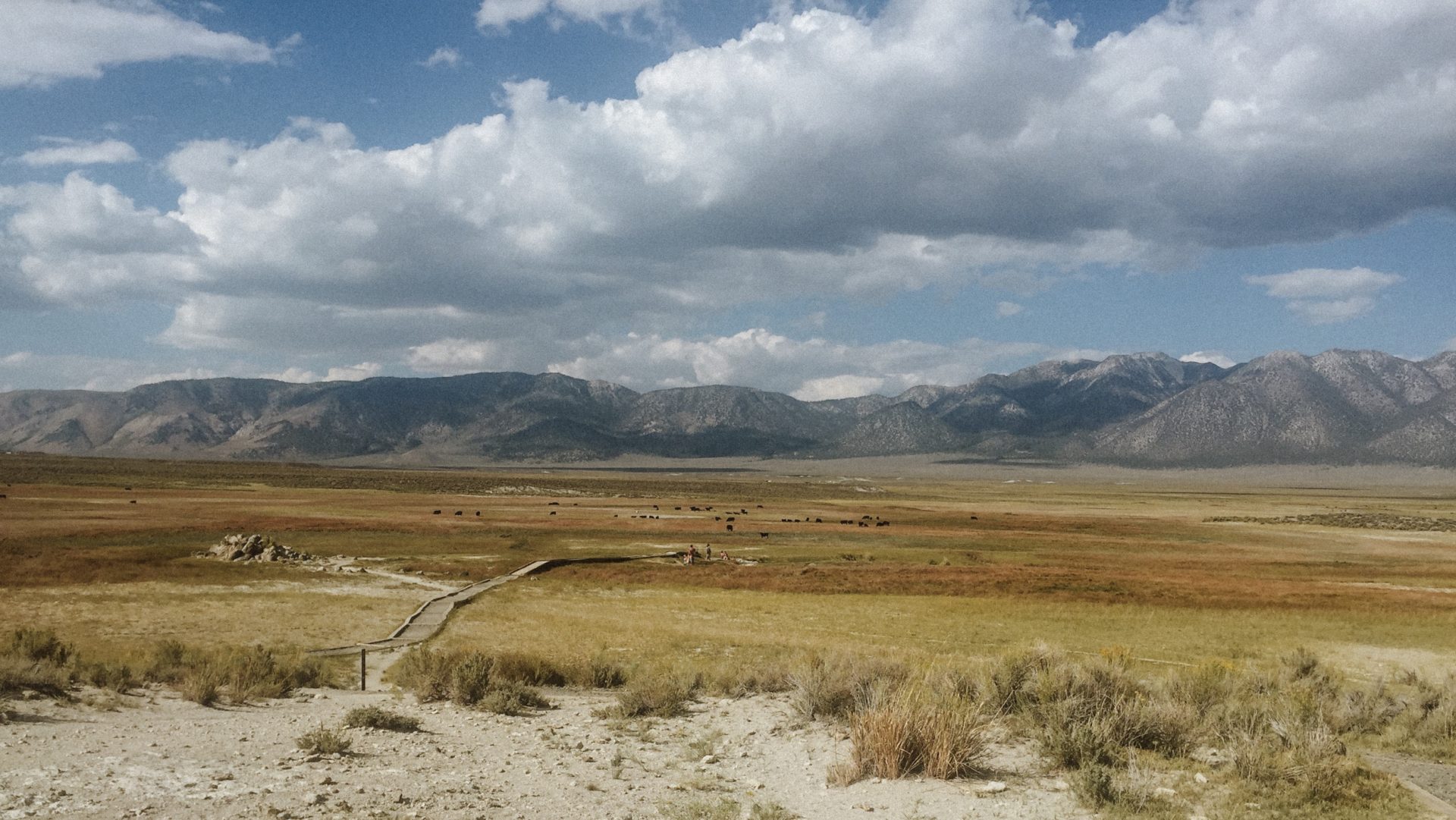Wild Willy’s Hot Springs – Jennifer Exploring